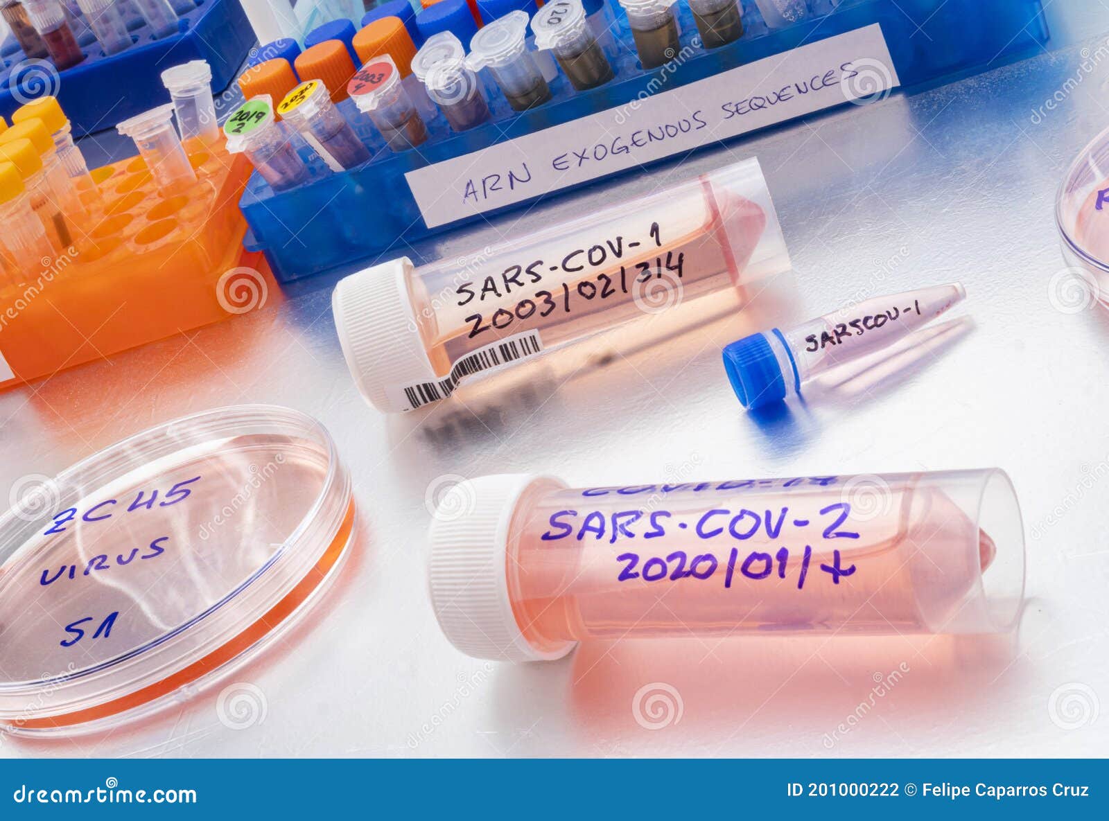 Vials with Samples of SARS-COV-1 Prepared Cold in a Laboratory ...