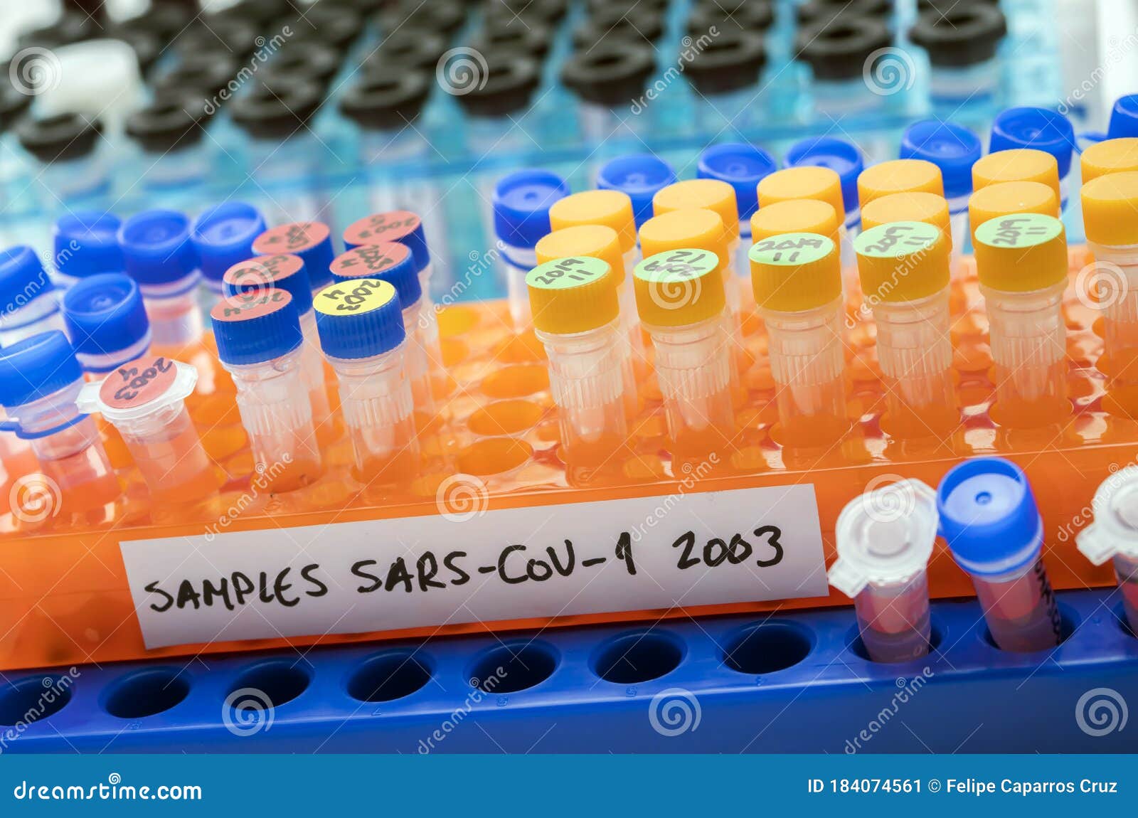 Vials with Samples of SARS-COV-1 in a Research Laboratory Stock Image ...