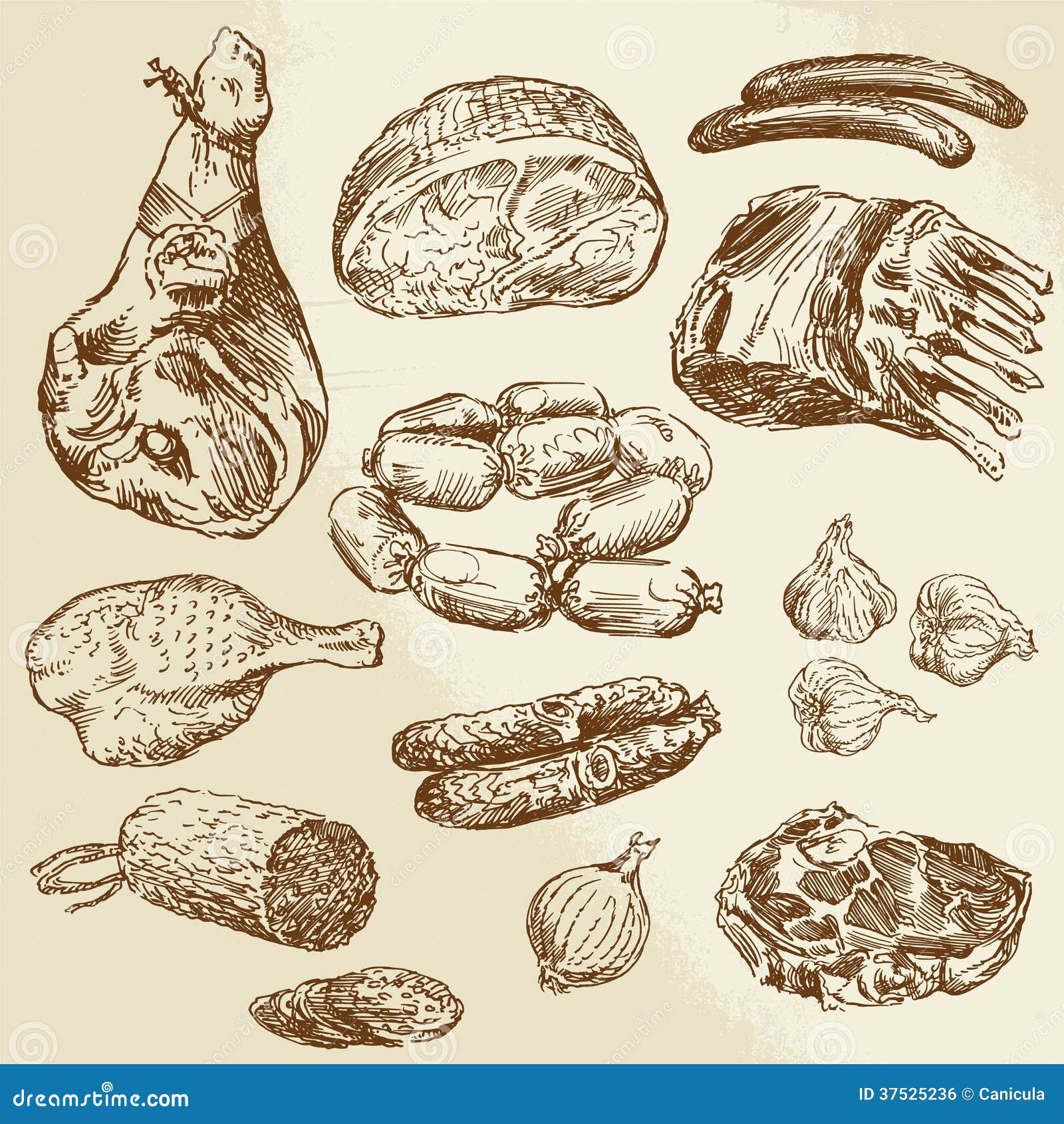 Viande illustration de vecteur. Illustration du barbecue - 37525236