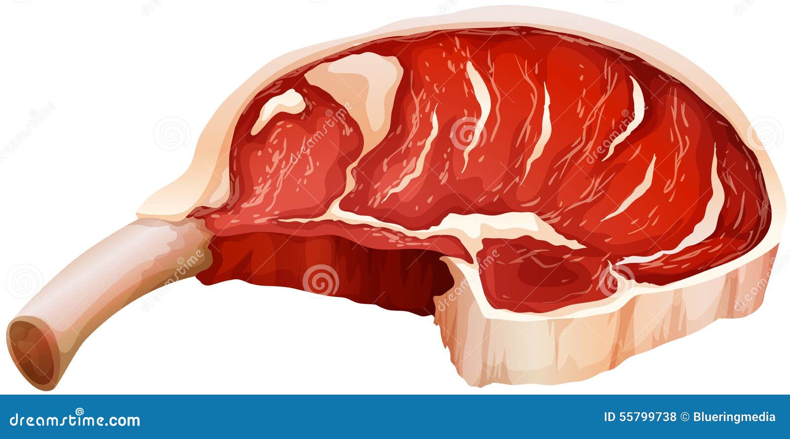 Viande rouge illustration de vecteur. Illustration du frais - 55799738