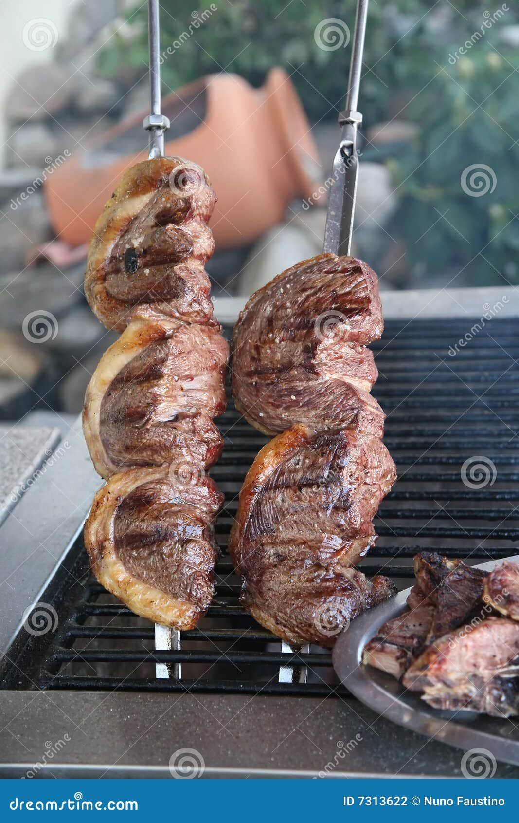 Viande sur le barbecue photo stock. Image du puits, délicieux - 7313622