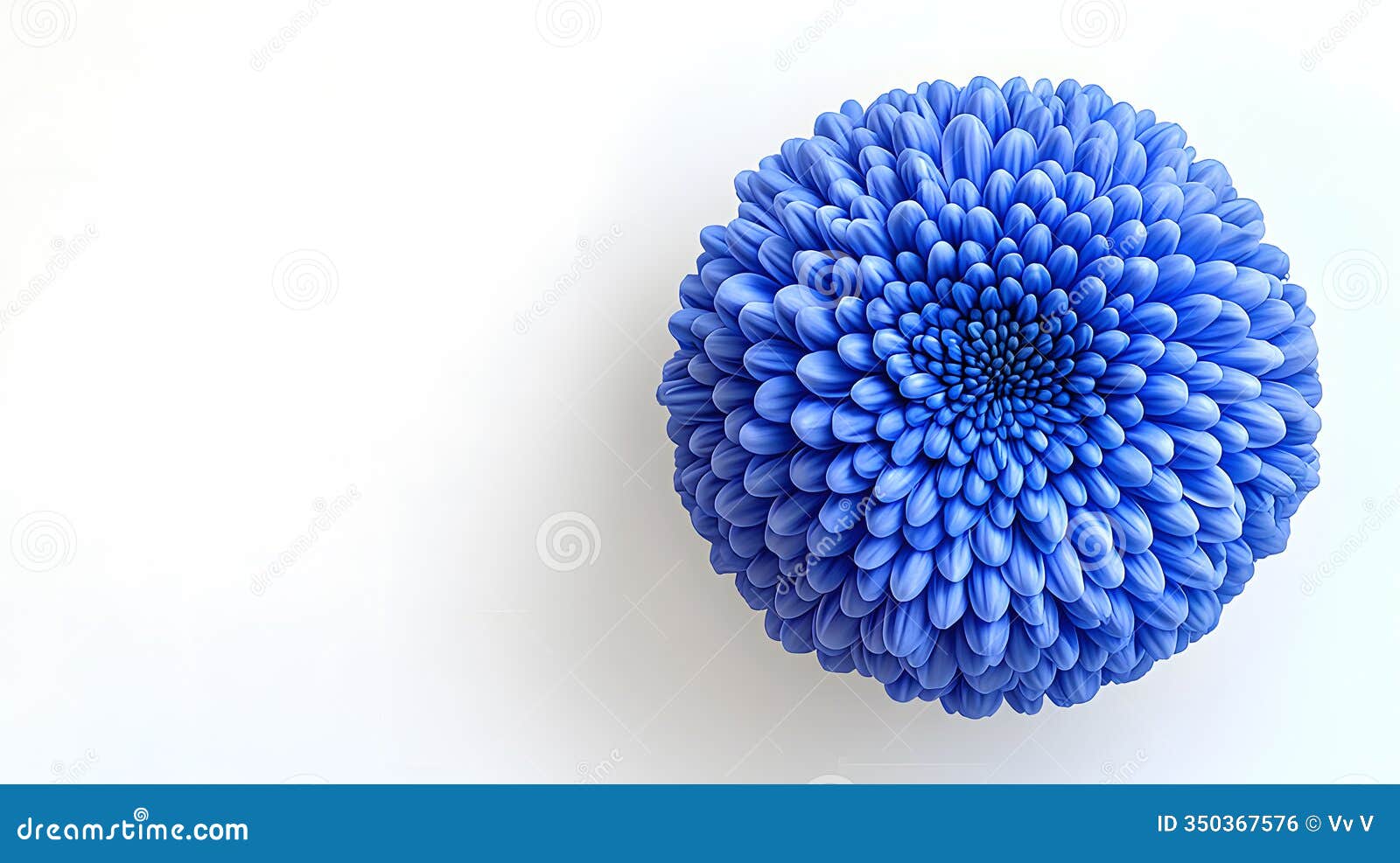 Vibrant Blue Flower on a White Background. Stock Illustration ...