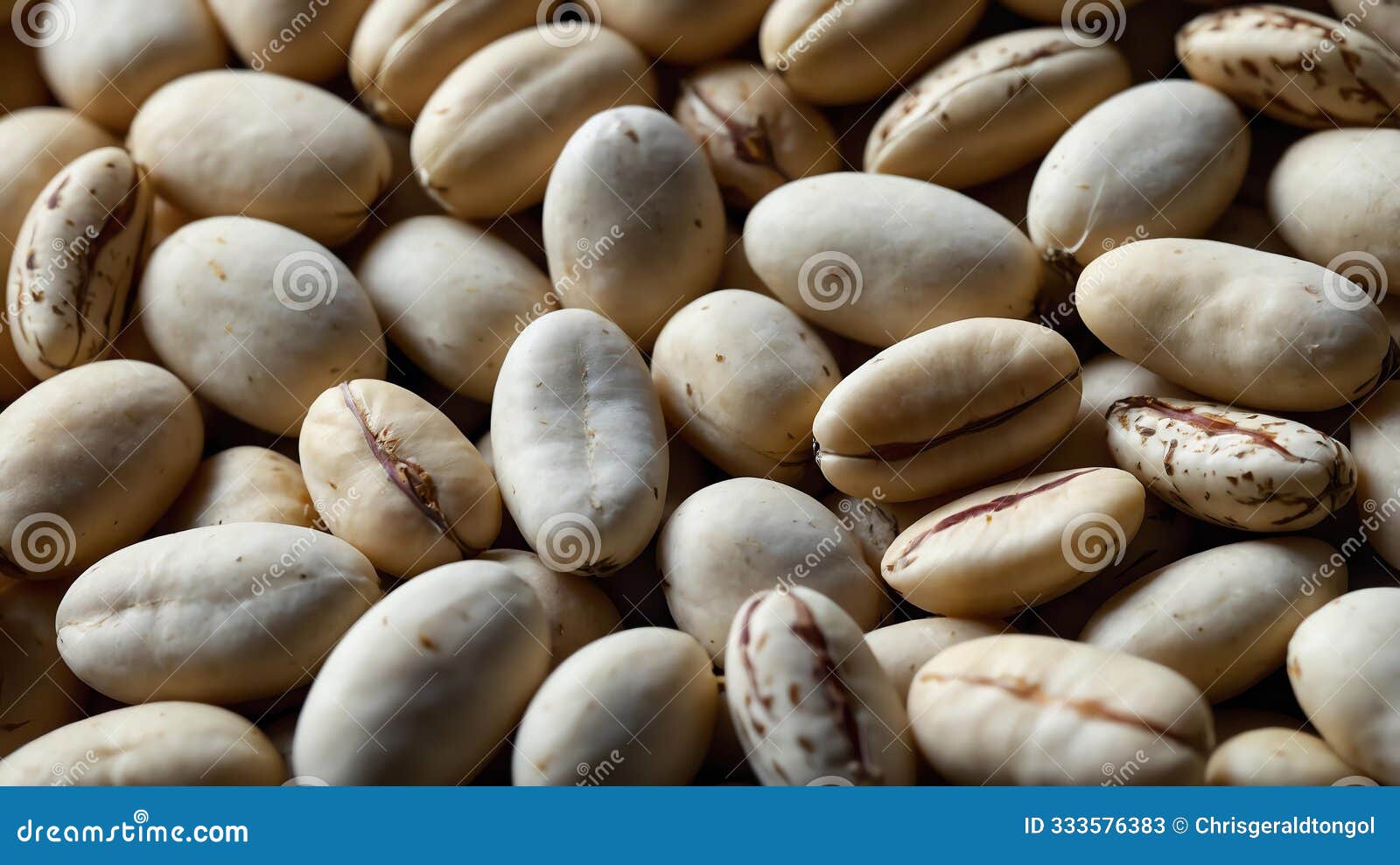 Vibrant and Bright View of Great Northern Beans in Cin Ai Generated ...