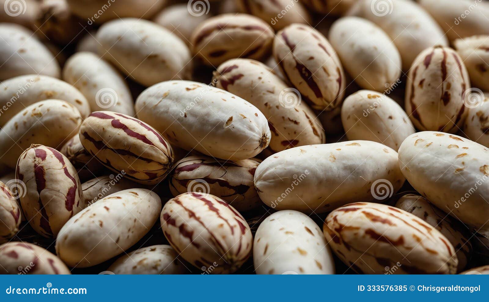 Vibrant and Bright View of Great Northern Beans in Cin Ai Generated ...