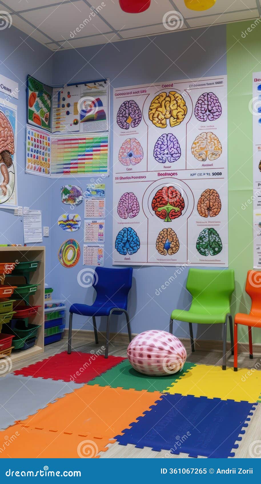 Vibrant Classroom Wall with Brain Development Charts for Early Learning ...