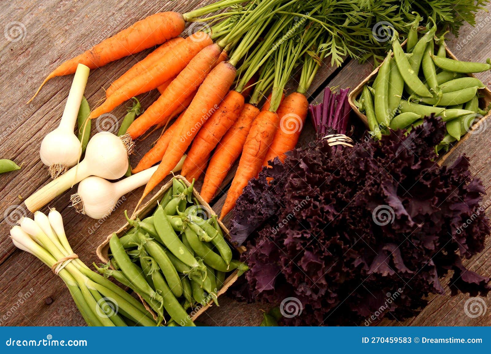 Vibrant and Colorful Array of Delicious Fresh, Organic Vegetables Stock ...
