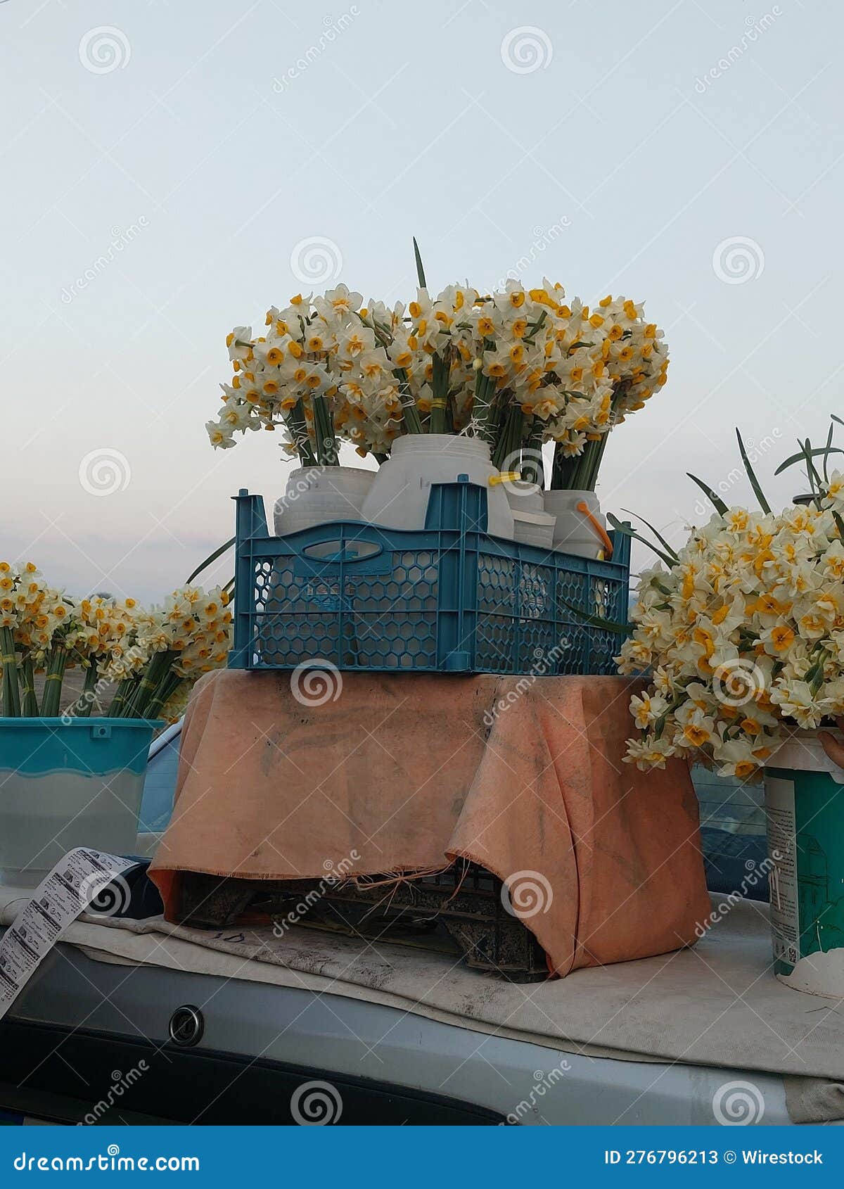 Vibrant and Colorful Array of Flowers in a Variety of Planters and ...