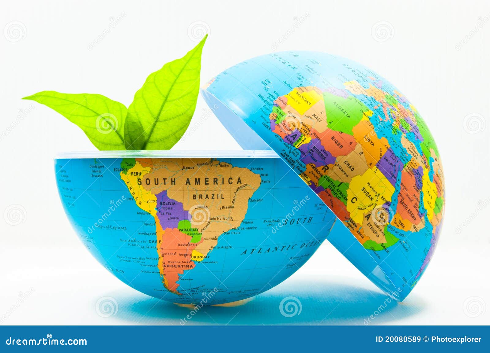 Vibrant Colorful on the World Stock Image - Image of macro, botany ...