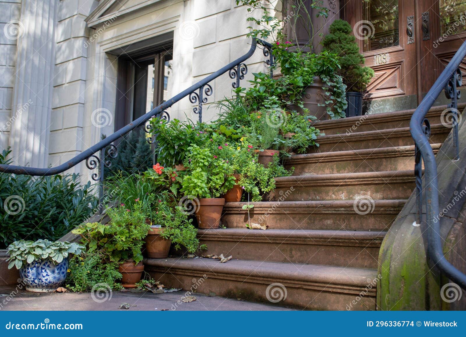 Vibrant Display of Assorted Potted Plants and Flowers on the Steps of a ...