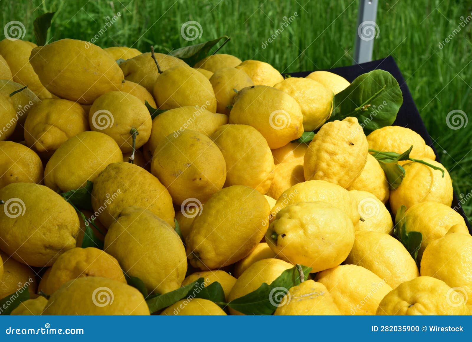 Vibrant Display of Lemons Stacked Against Each Other Stock Photo ...