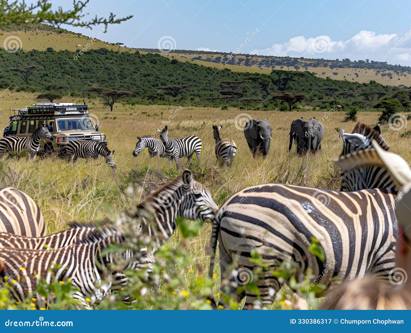 Exploring Safari Wildlife Timeless Patterns And Behaviors Of Animals In ... Exploring Safari Wildlife Timeless Patterns And Behaviors Of Animals In ...