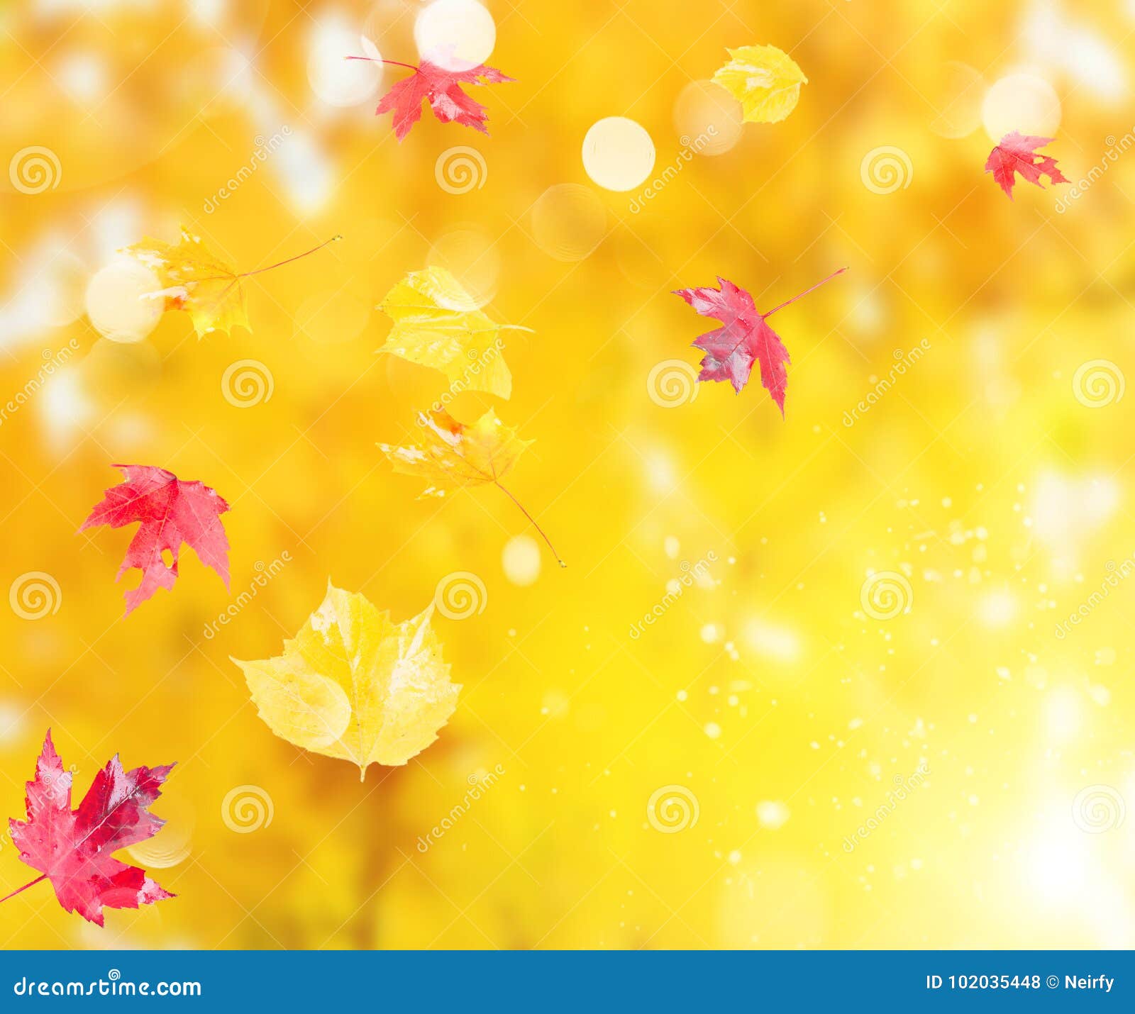 Vibrant fall foliage stock photo. Image of outdoors - 102035448