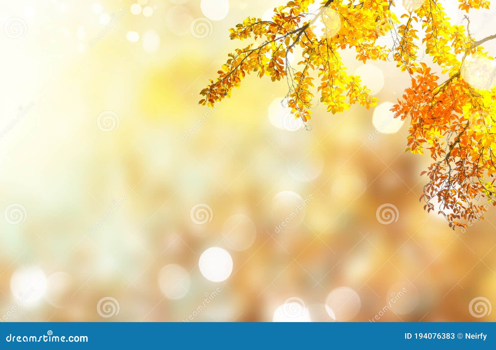 Vibrant fall foliage stock image. Image of leaves, cloud - 194076383
