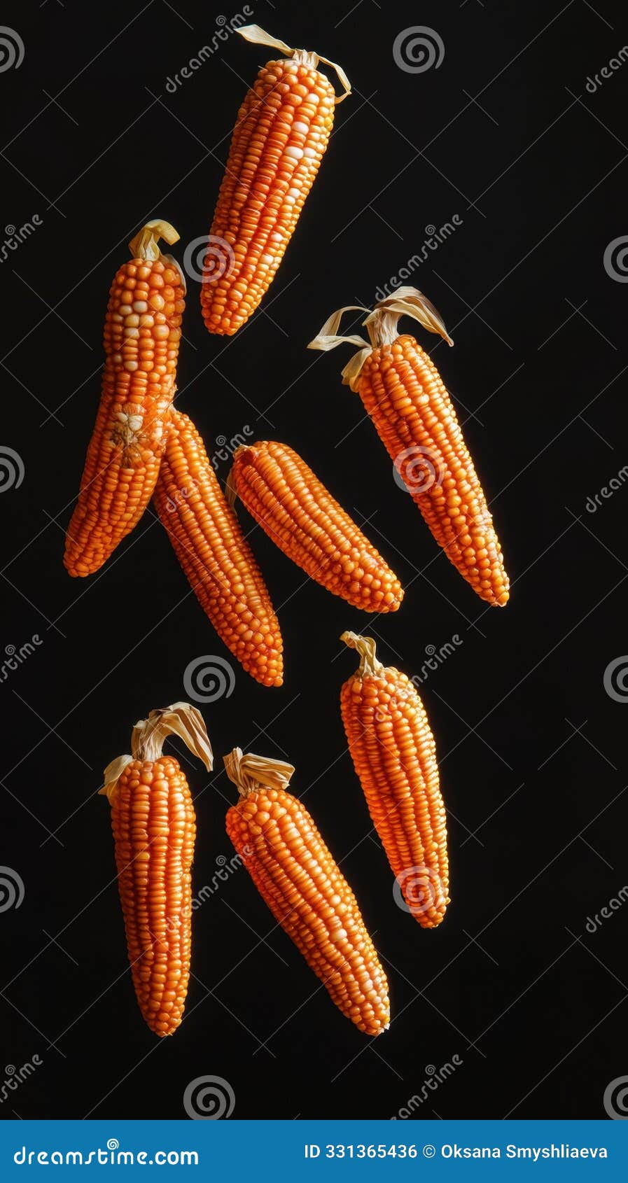 Vibrant Floating Corn Cobs on Black Background Stock Photo - Image of ...