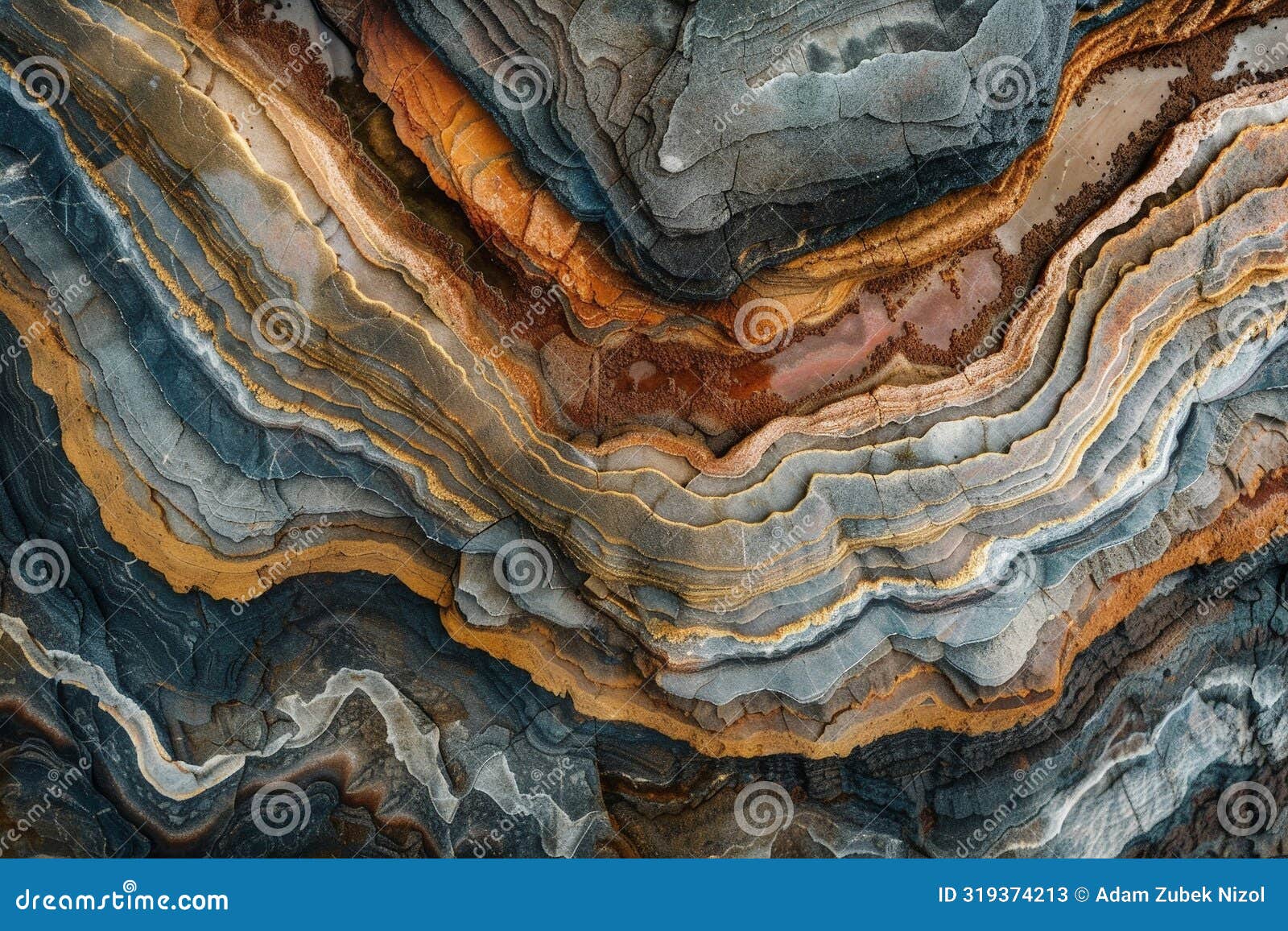 Geological Layers Beneath The Earth , Soil. Trees On Earth .3d ...
