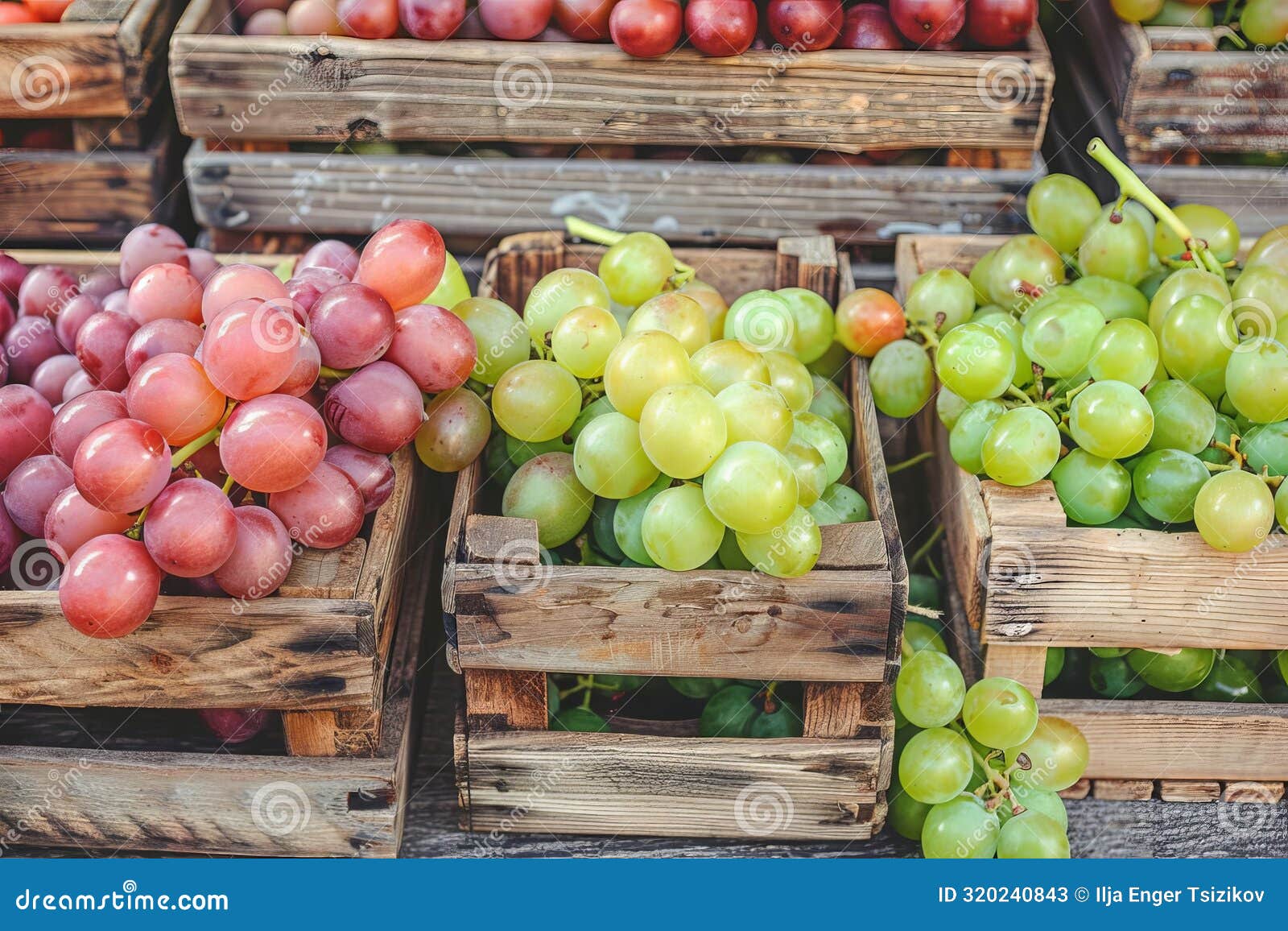 Vibrant Grape Clusters in Wooden Crates Rustic Warehouse Setting for ...