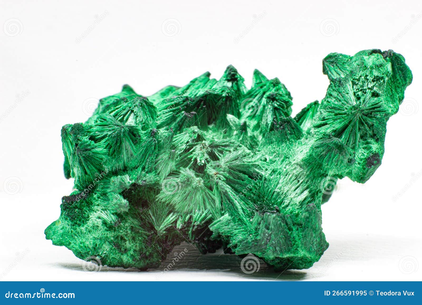 Vibrant Green Copper Mineral Malachite In Velvet Form Highly Structured