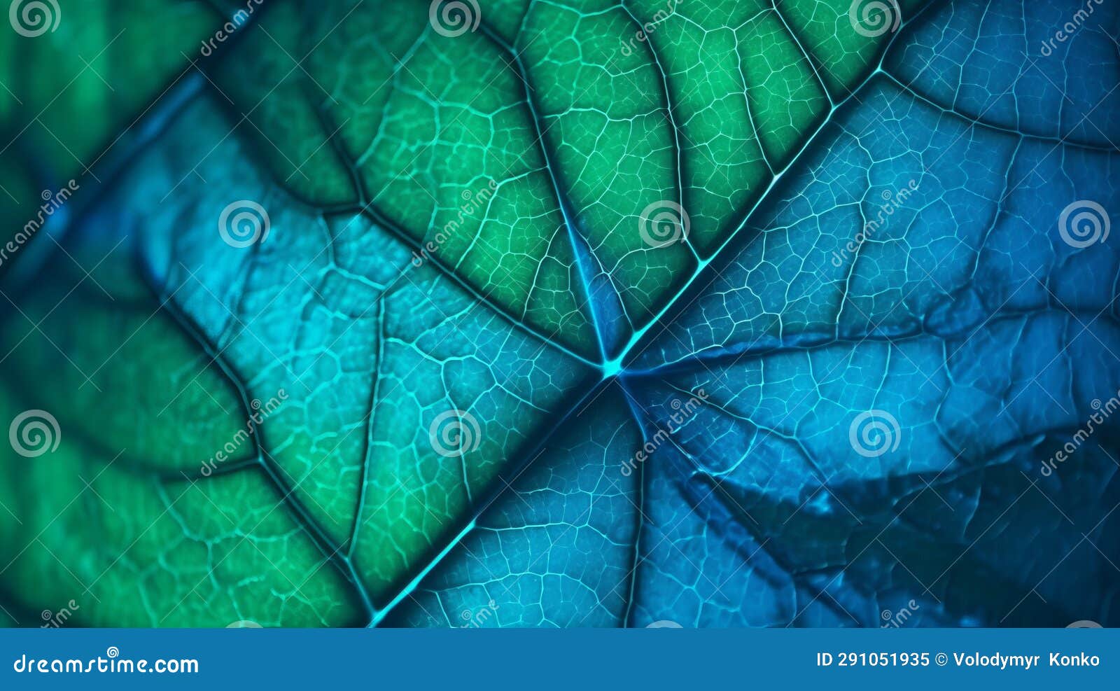 A Vibrant Green Leaf Up Close Stock Image - Image of nature, sunlight ...