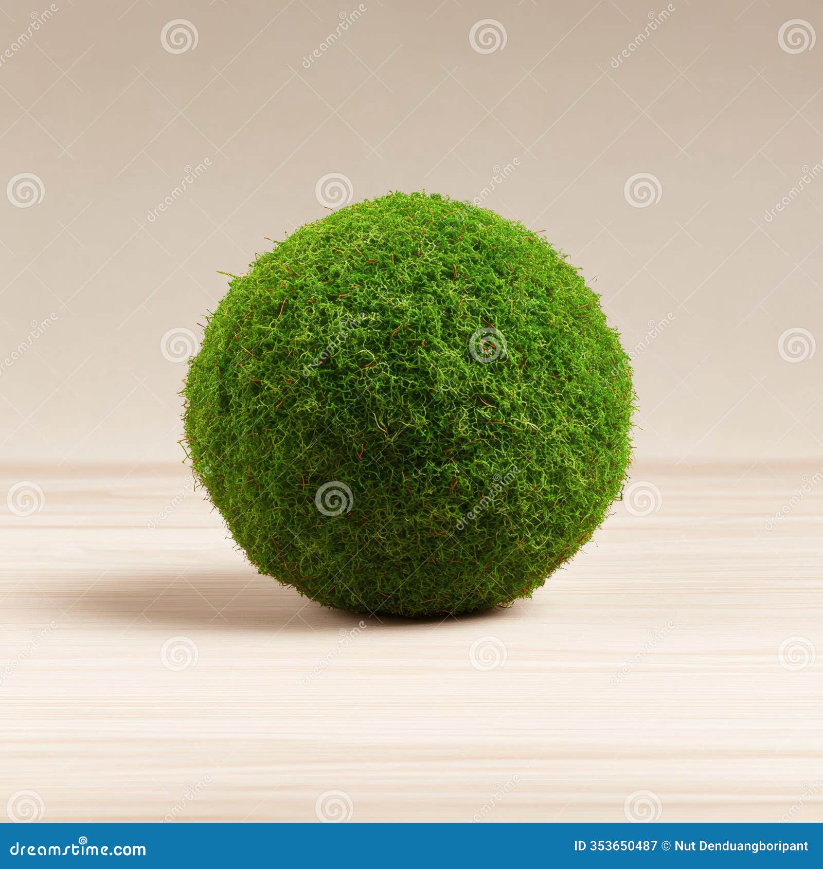 Vibrant Green Moss Ball with Rich Texture and Round Shape Stock ...