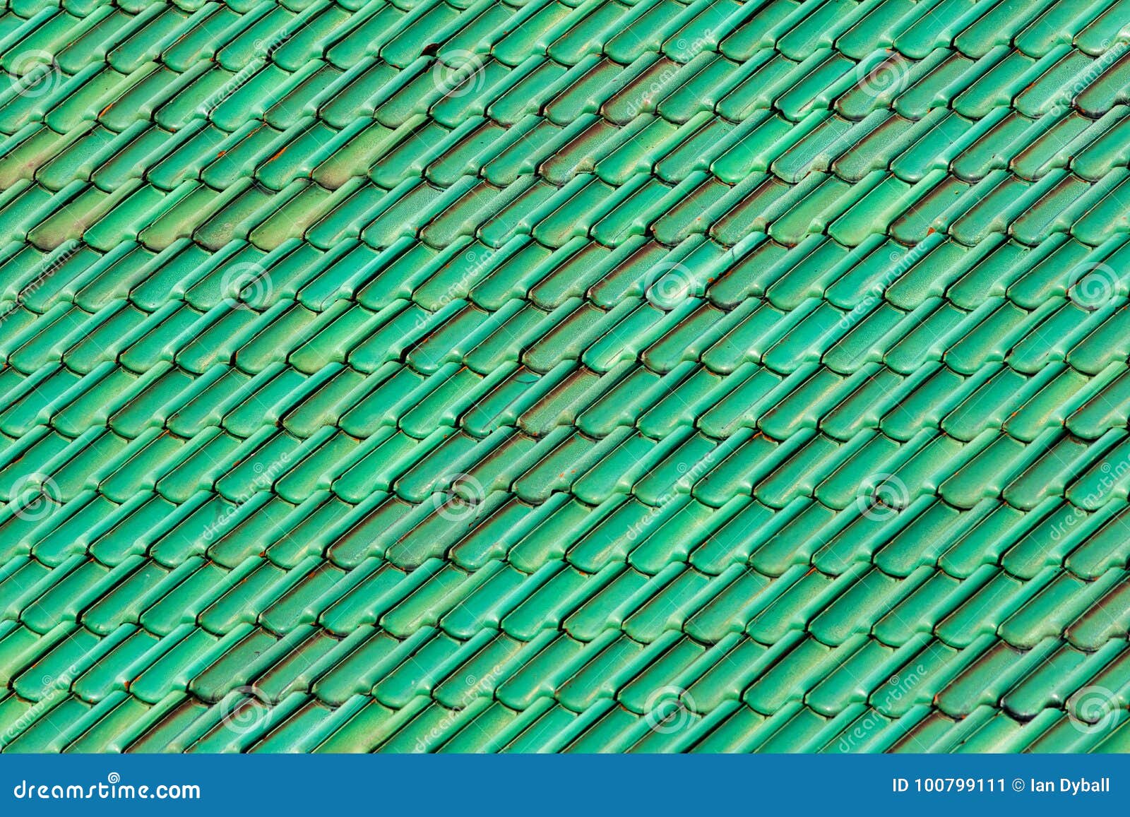 Vibrant Green Roof Tiles. Patterned and Textured Background Image of ...