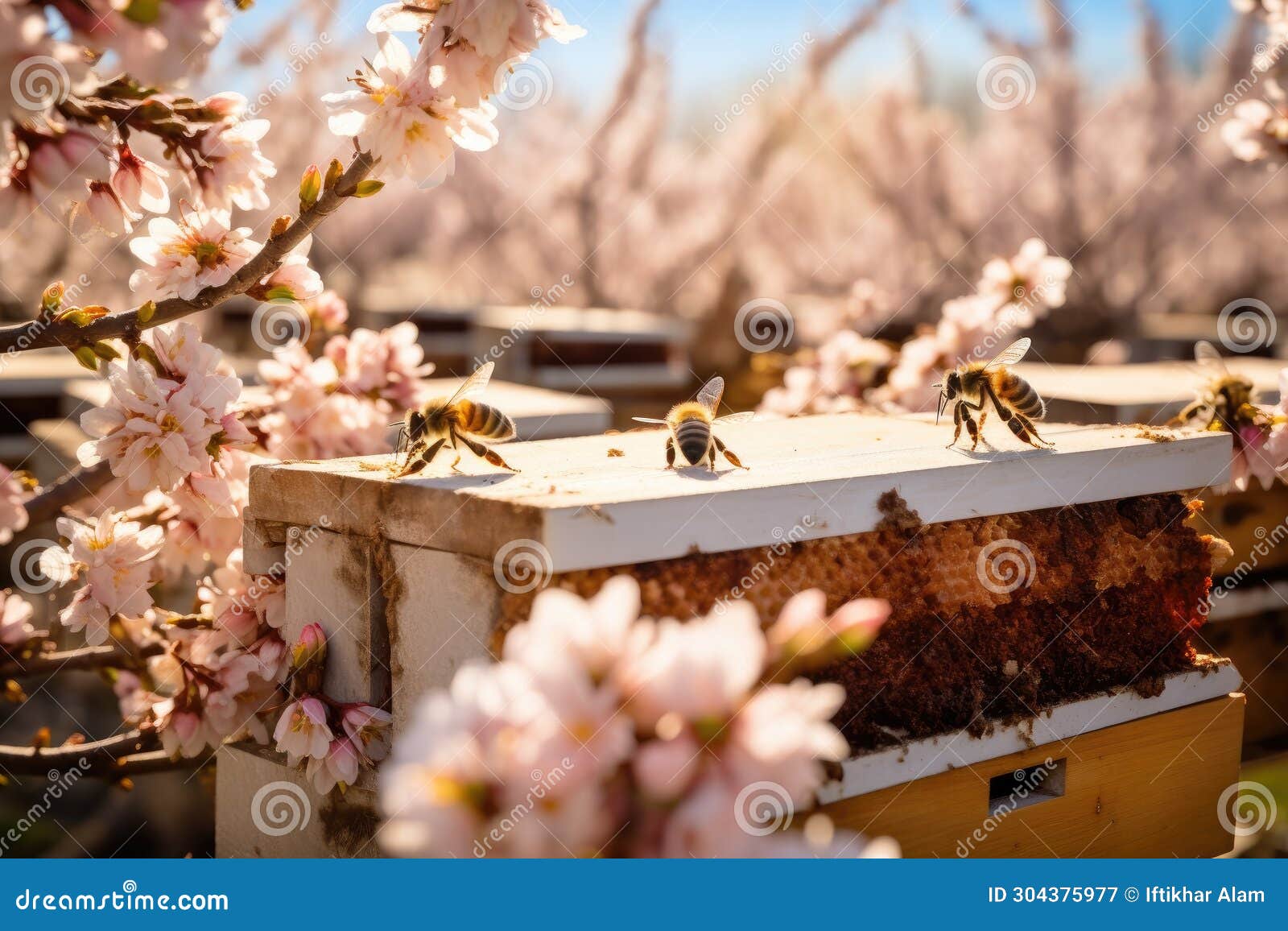 A Vibrant Image Capturing a Busy Hive of Bees Constructing Their Hive ...