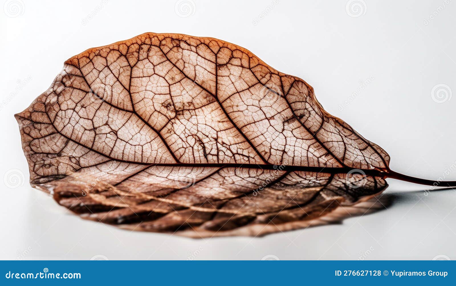 Vibrant Leaf Vein Pattern in Autumn Forest Generated by AI Stock Photo ...