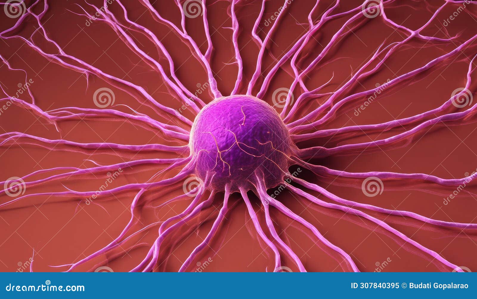 Vibrant Life Under the Microscope - a Single Cell with a Complex ...