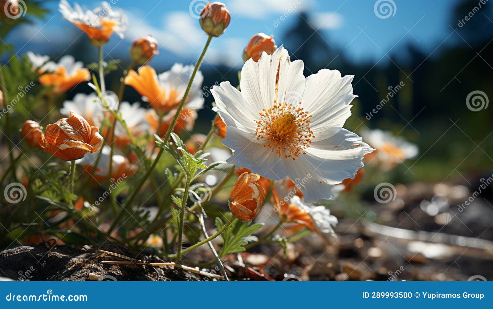 A Vibrant Meadow of Yellow Daisies, a Symbol of Summer Generated by AI ...