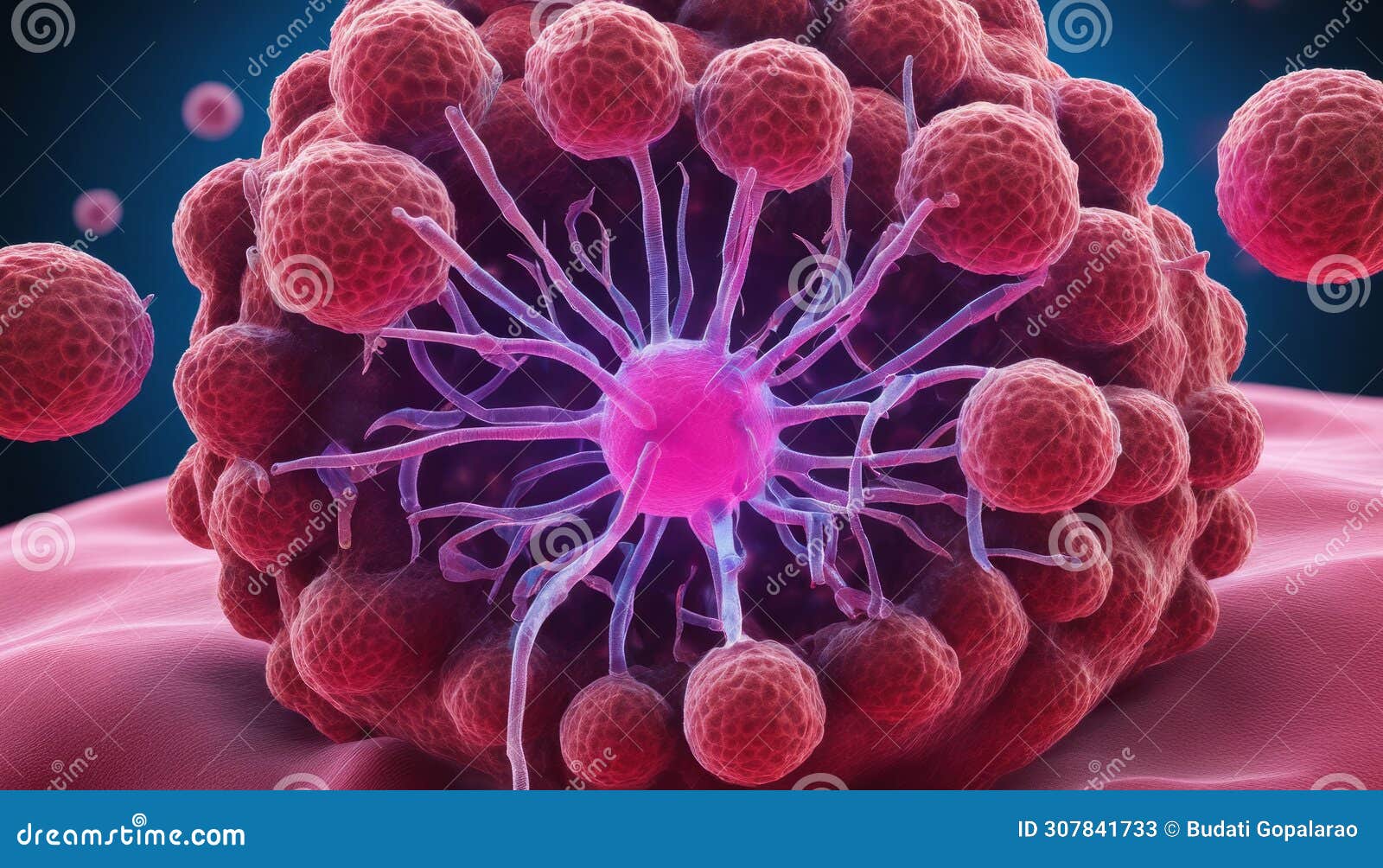 Vibrant Microscopic View of a Cell with Multiple Nuclei, Illustrating ...