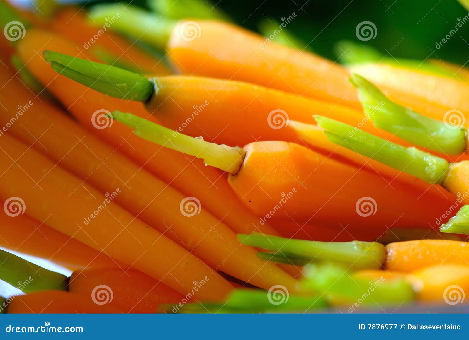 Vibrant miniature carrots stock image. Image of eggplant - 7876977