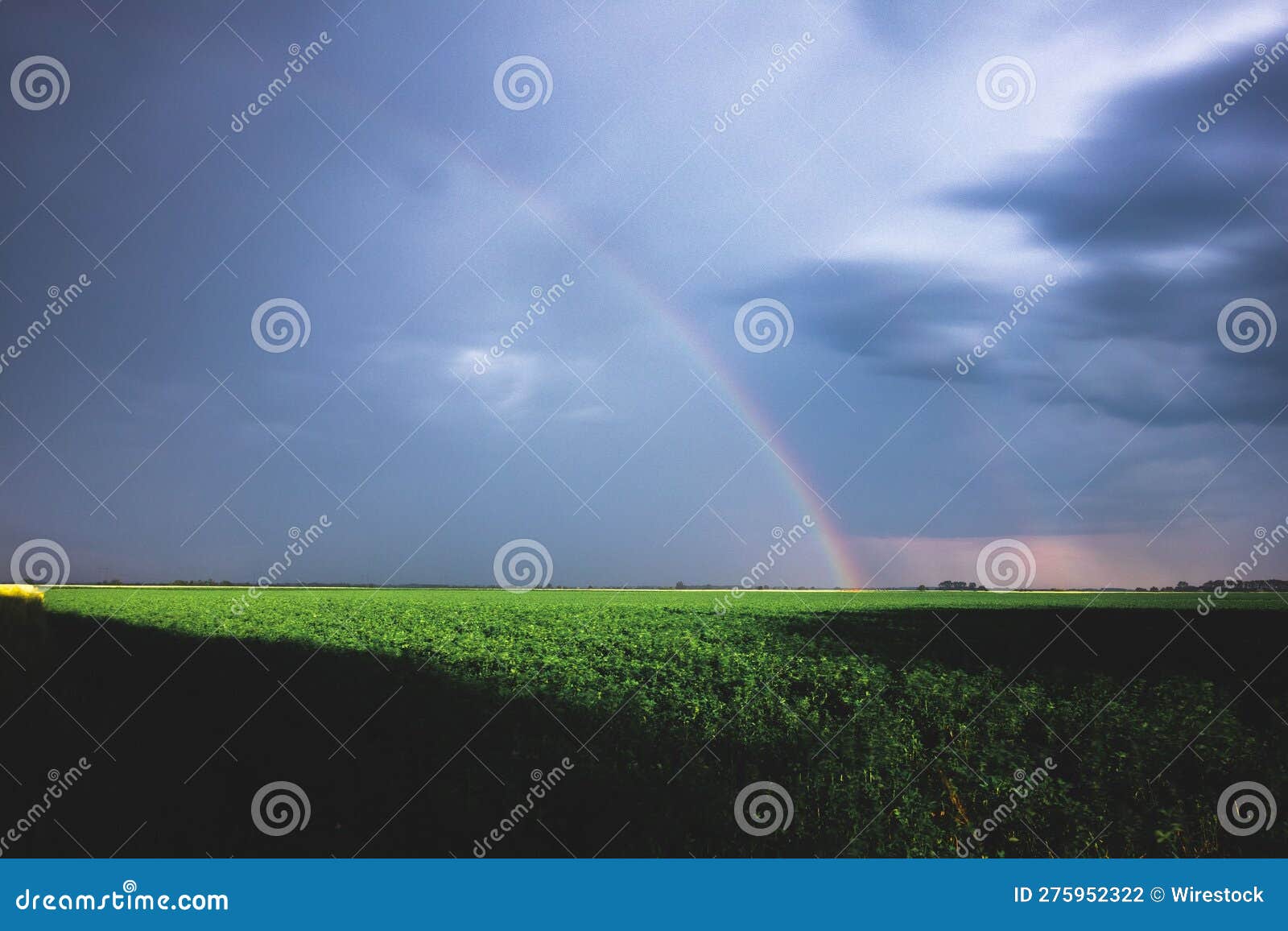 Vibrant Multi-colored Rainbow Illuminates a Cloudy Backdrop of Lush ...