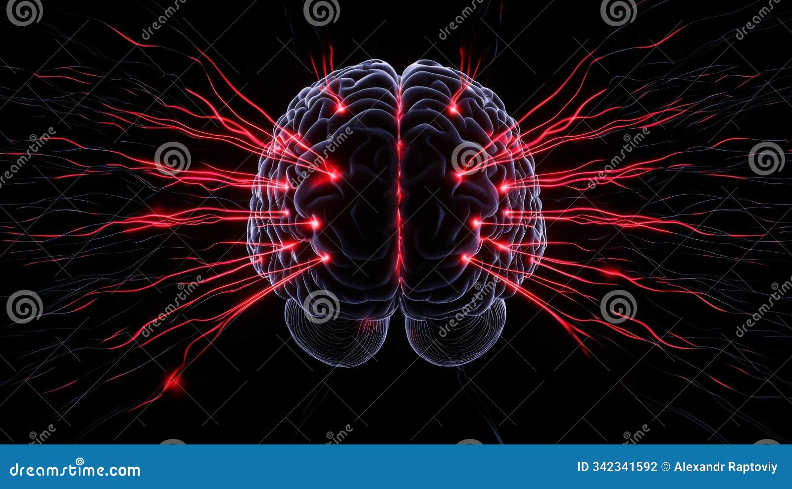 Vibrant Neural Connections Light Up the Brain in a Dynamic Display of ...