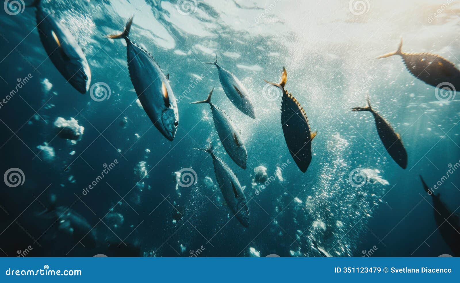 Vibrant Ocean with Bluefin Tuna, Microplastic Contamination in the ...