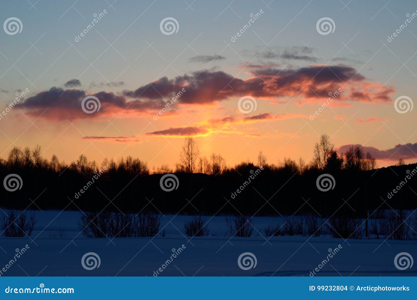 Vibrant Orange Sunset Over Forest Stock Photo - Image of beautiful ...