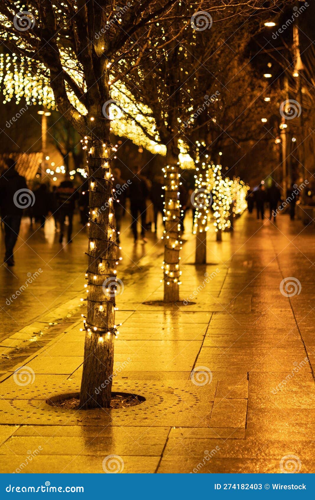 An Outdoor Scene with Many Lightening Trees and Lights on the Sidewalk ...