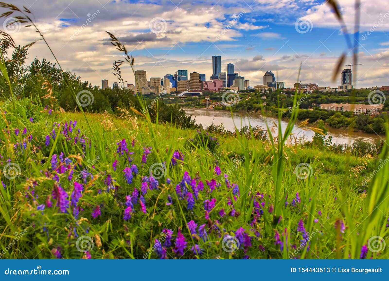 Vibrant Panoramic Edmonton Summer Skyline Obraz Stock - Obraz złożonej ...
