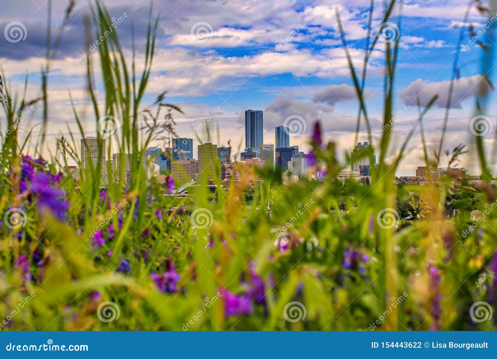 Vibrant Panoramic Edmonton Summer Skyline Stock Photo - Image of ...