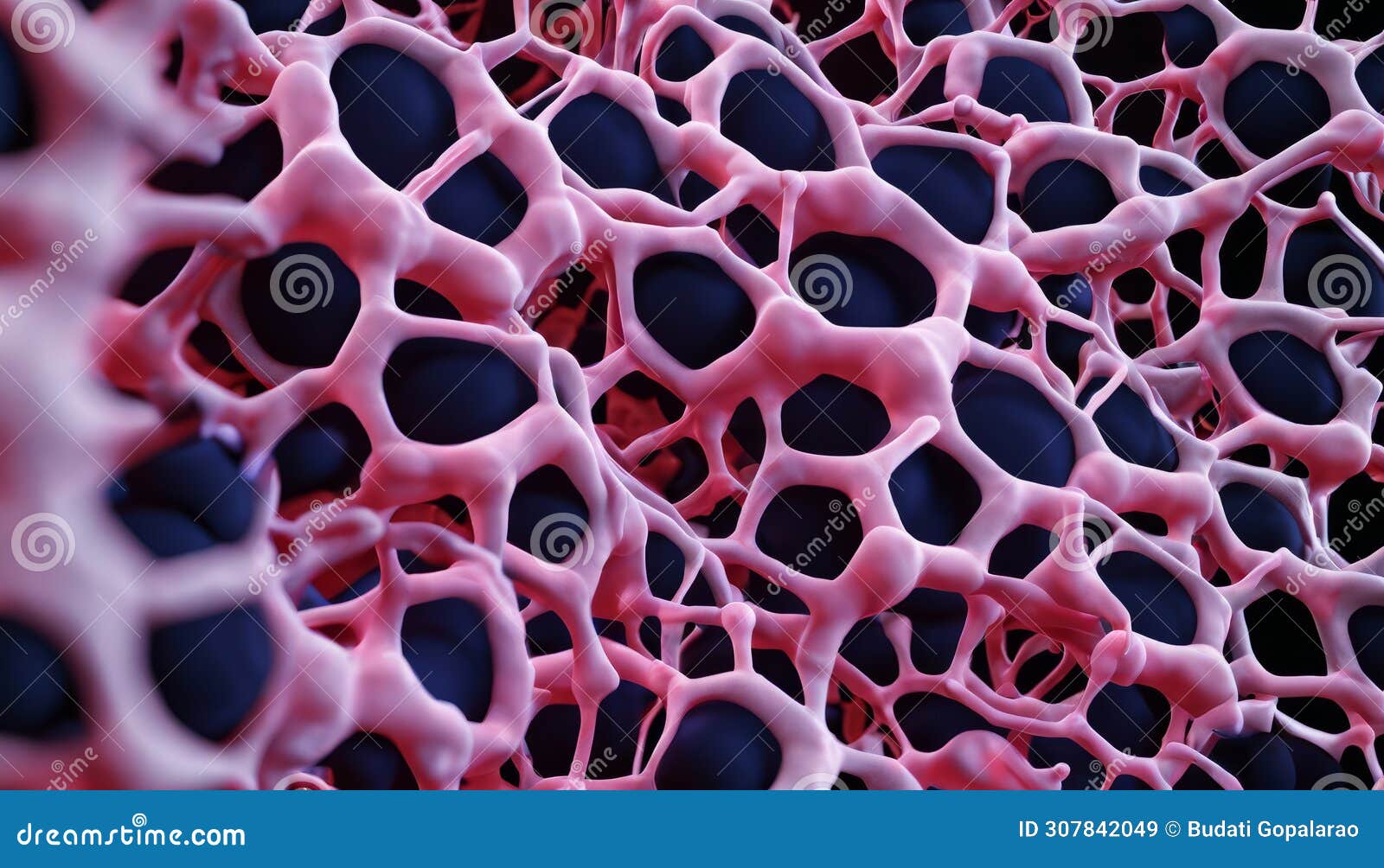 Vibrant Pink and Black Cellular Structure, Possibly a Microscopic View ...