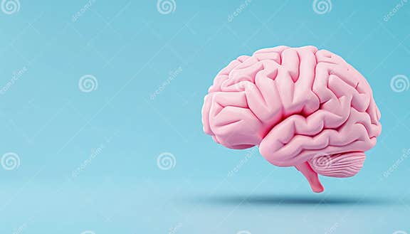 A Vibrant Pink Brain Model on a Soft Blue Background, Symbolizing ...