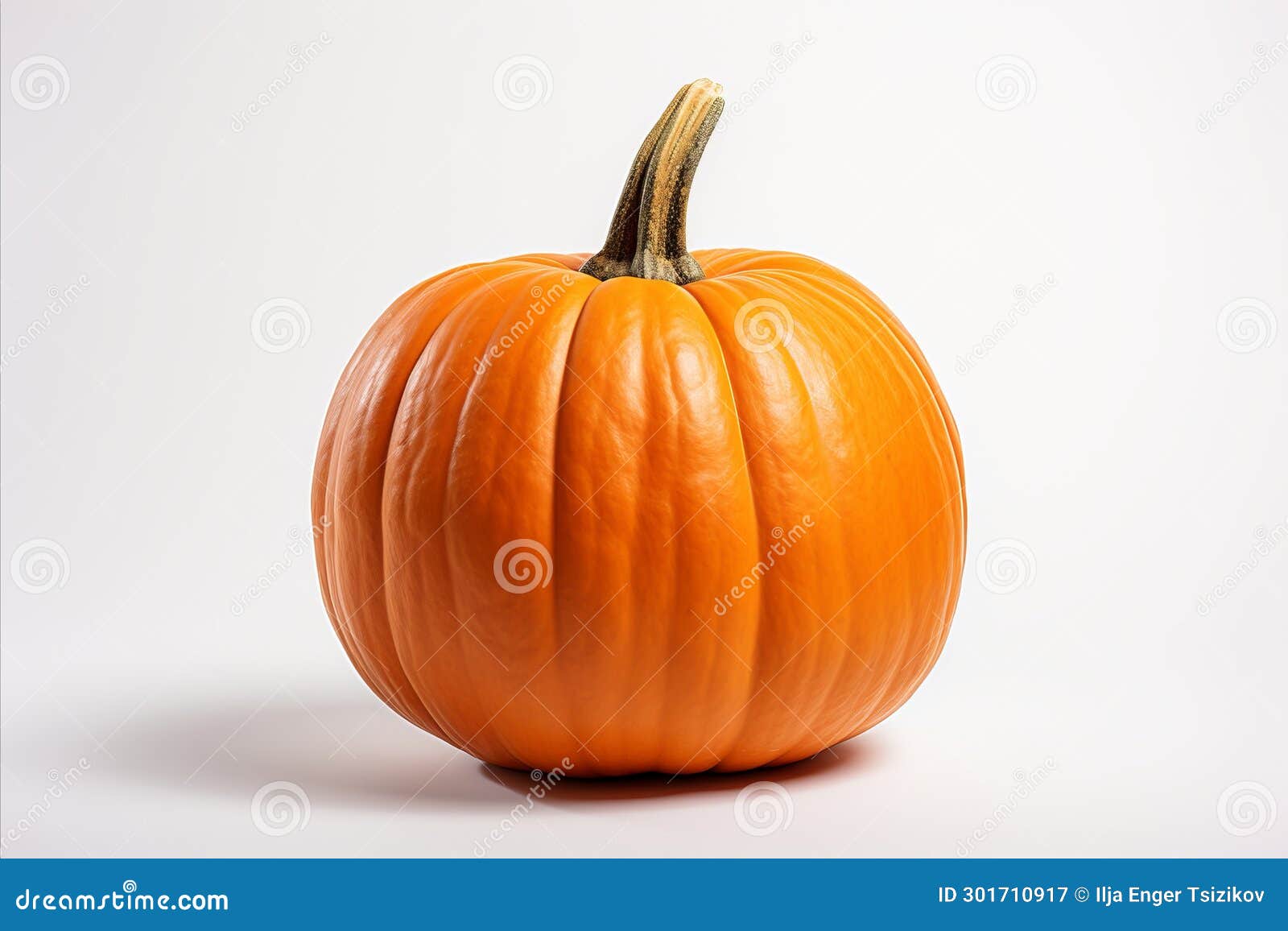 Vibrant Pumpkin on White Backdrop for Eye Catching Visuals in Ads and ...