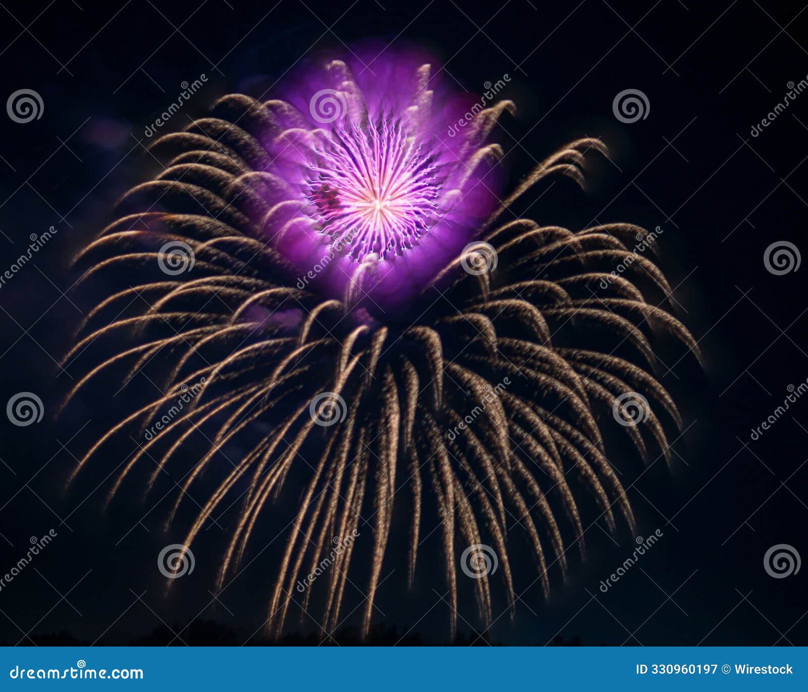 Vibrant Purple and Gold Firework Display Lighting Up the Night Sky ...