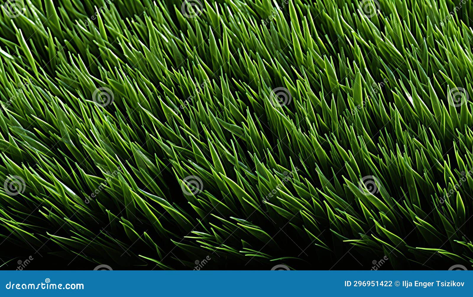 Realistic Artificial Grass Texture Background For Design Projects And ...