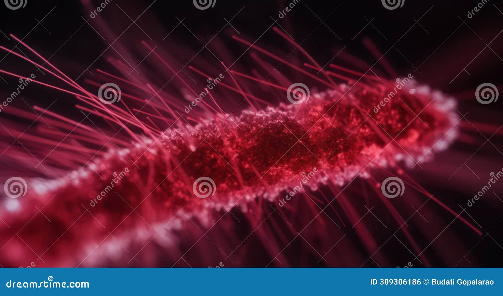 Vibrant Red Bacteria Under a Microscope, Highlighting Its Structure and ...
