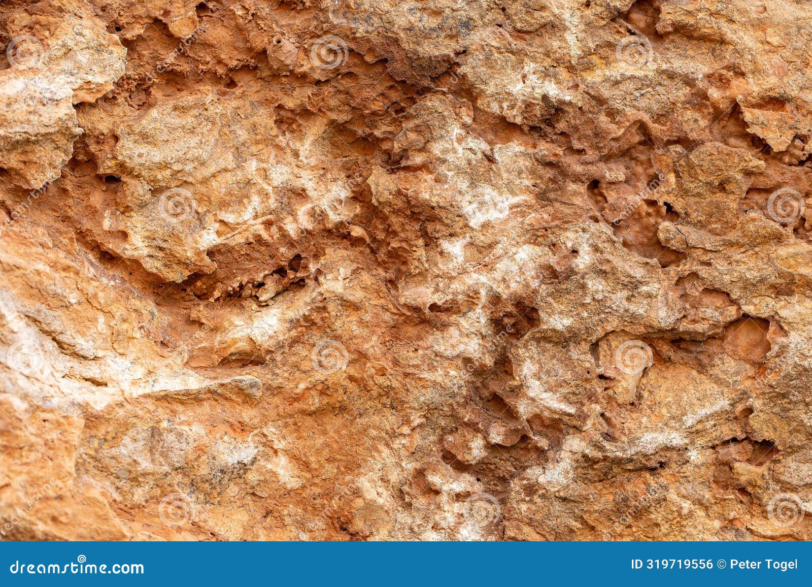 Vibrant Red Rock Surface Texture Background - Natural Geological ...