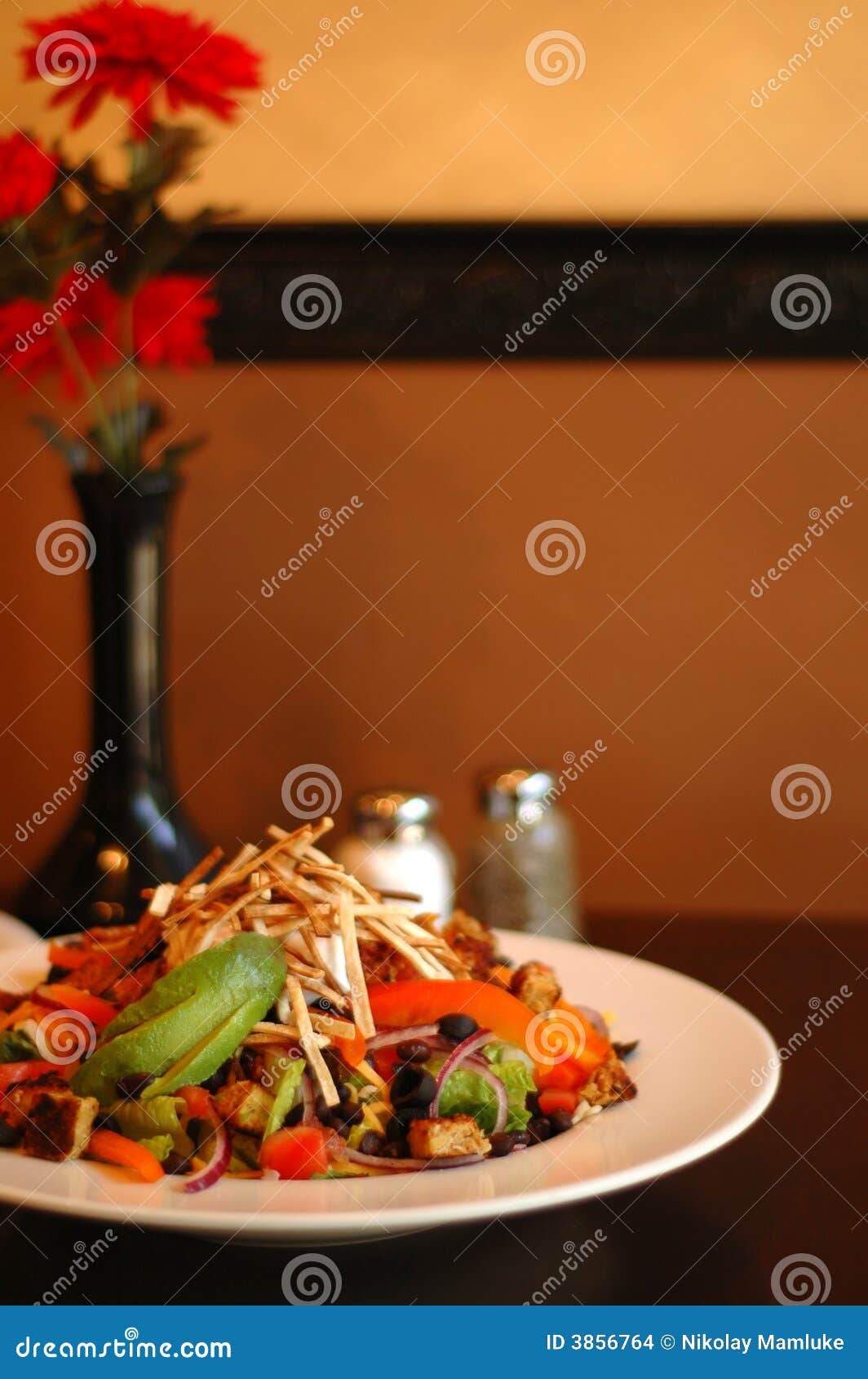Vibrant salad stock photo. Image of dinner, light, pretty - 3856764