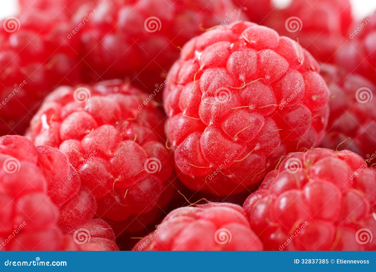 Vibrant summer raspberries stock image. Image of natural - 32837385