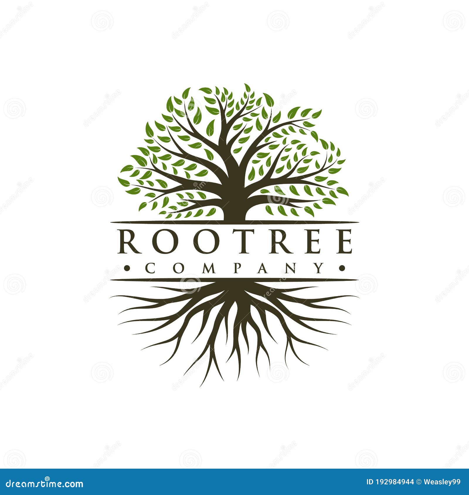 Root Vector Set Isolated On White Background. Tree Roots System ...