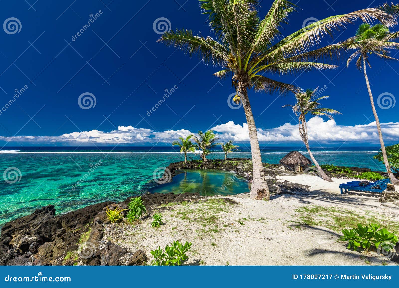 Vibrant Tropical Beach with Palm Trees, Upolu, Samoa Stock Image ...