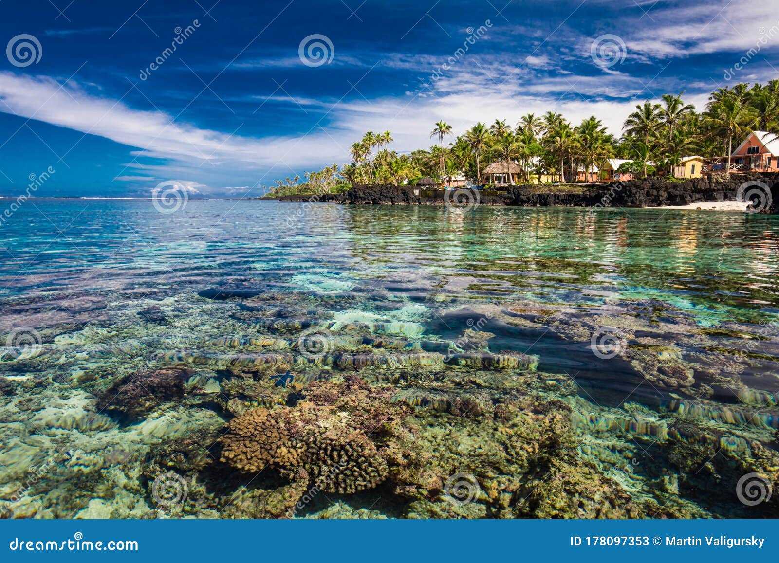 Vibrant Tropical Beach with Palm Trees, Upolu, Samoa Stock Image ...