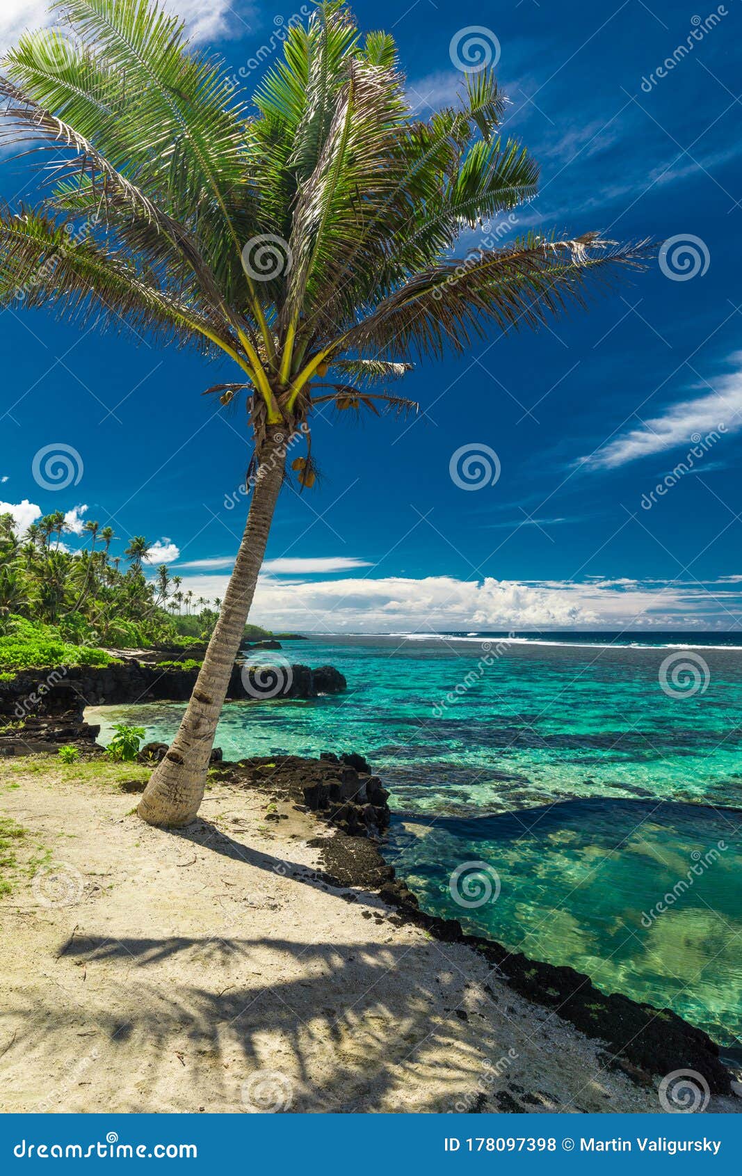Vibrant Tropical Beach with Palm Trees, Upolu, Samoa Stock Photo ...